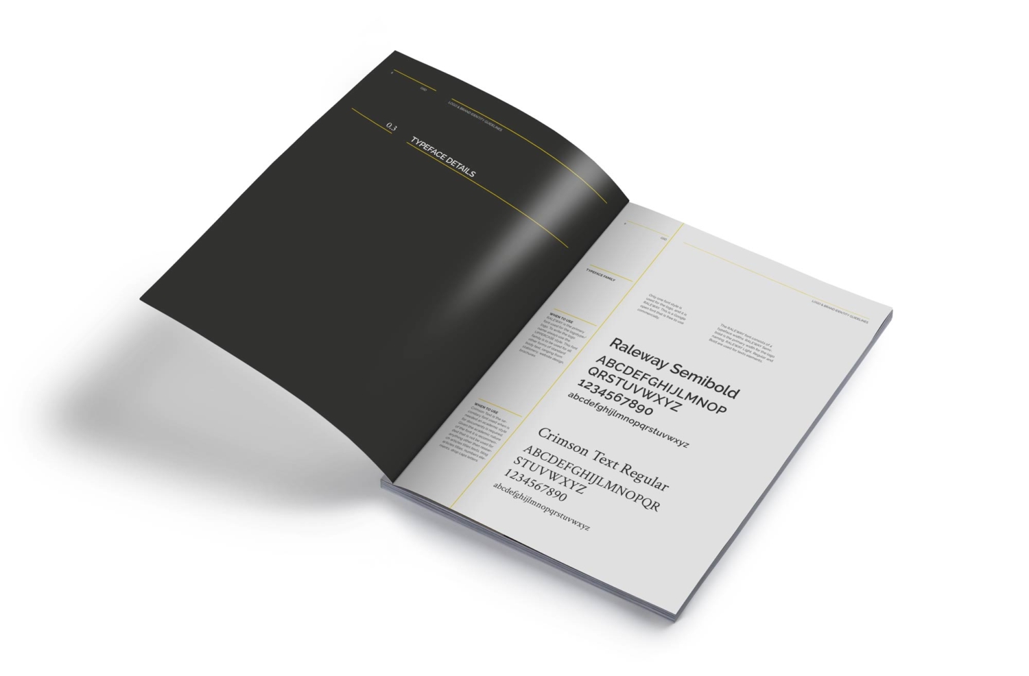 Logo style guide for correct usage of the logo • startup design pro